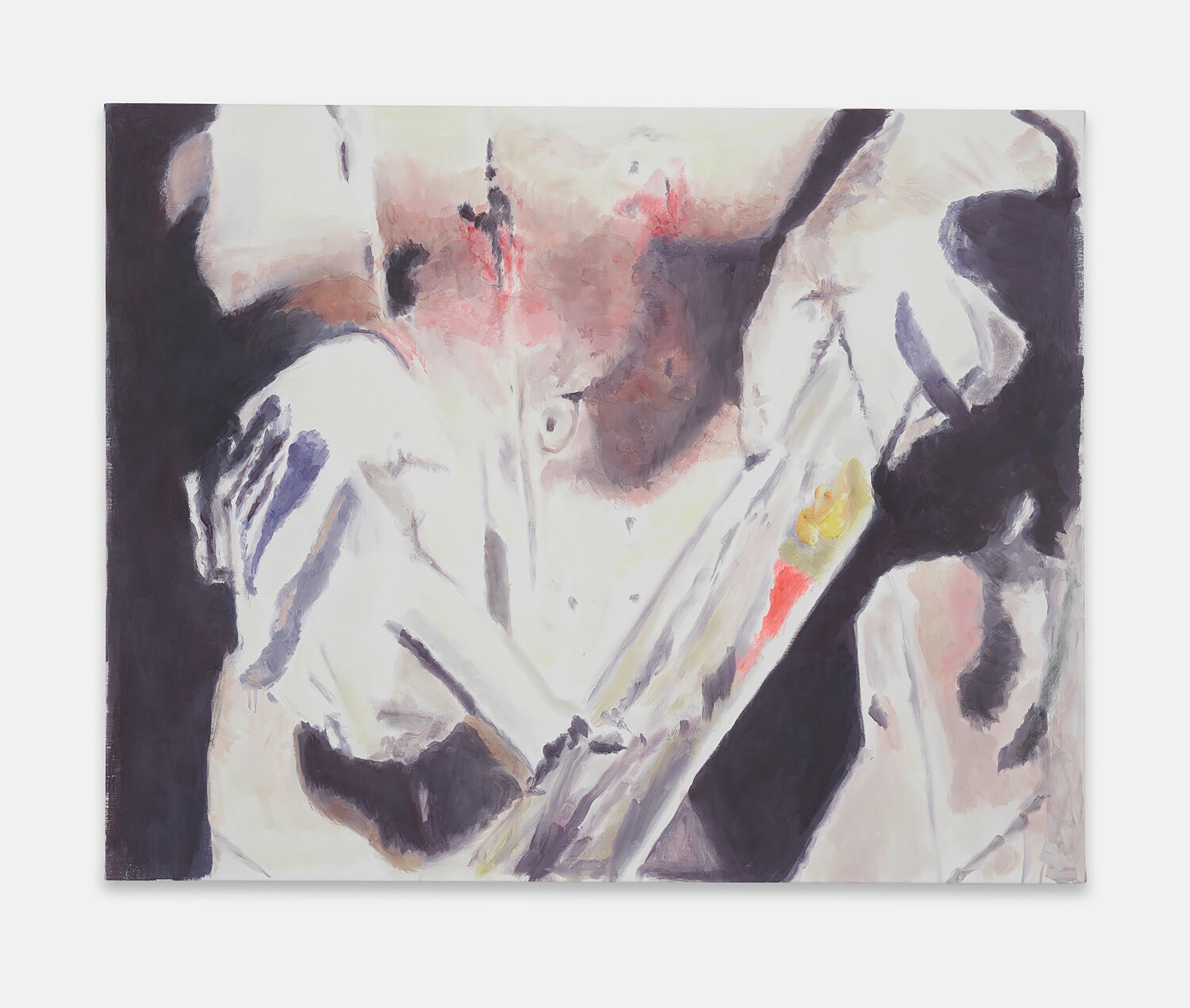 Luc Tuymans maakt imposant, tijdelijk werk voor het Louvre: ‘Is dit de ...