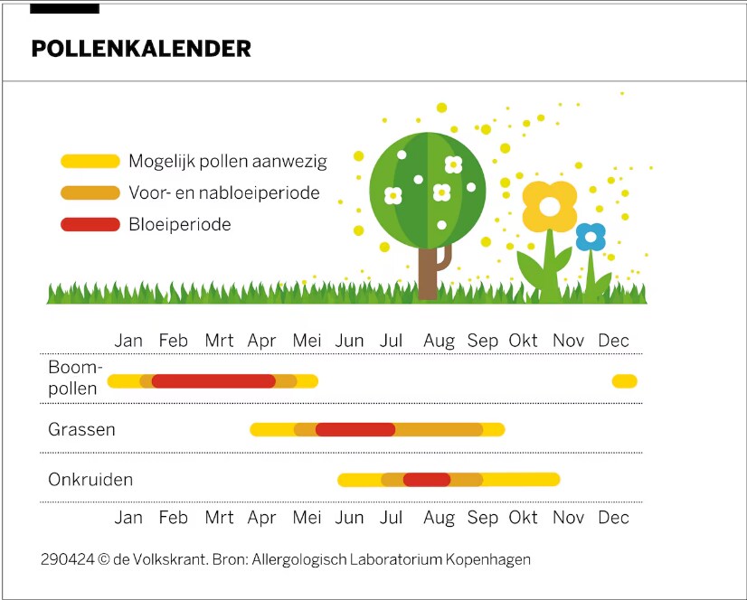Hooikoorts? Haren wassen voor het slapengaan en andere gouden tips ...