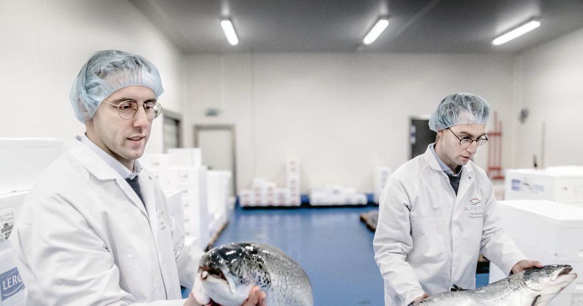 ‘We willen de grootste visverwerkers van Vlaanderen worden’: deze ex ...