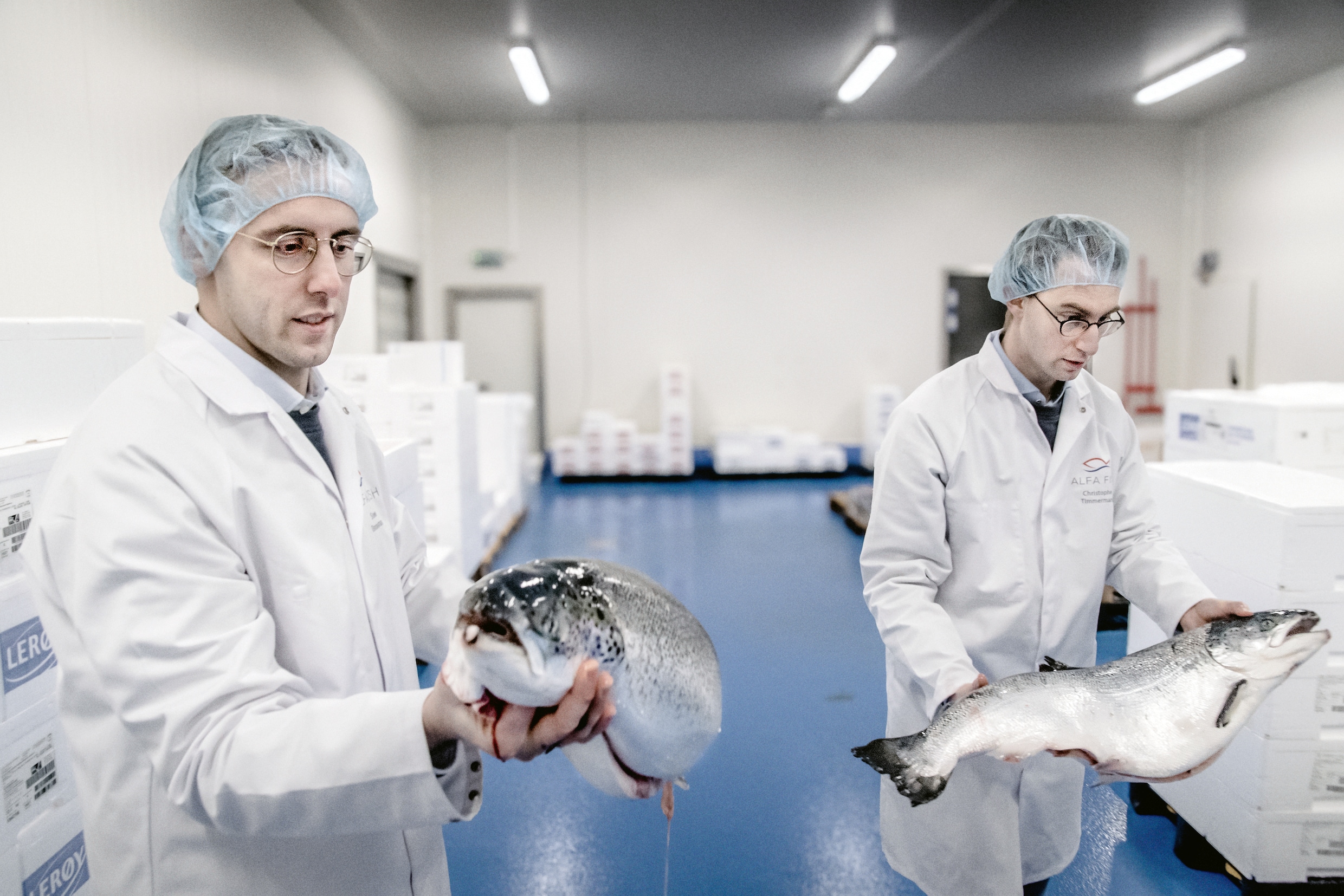 ‘We willen de grootste visverwerkers van Vlaanderen worden’: deze ex ...