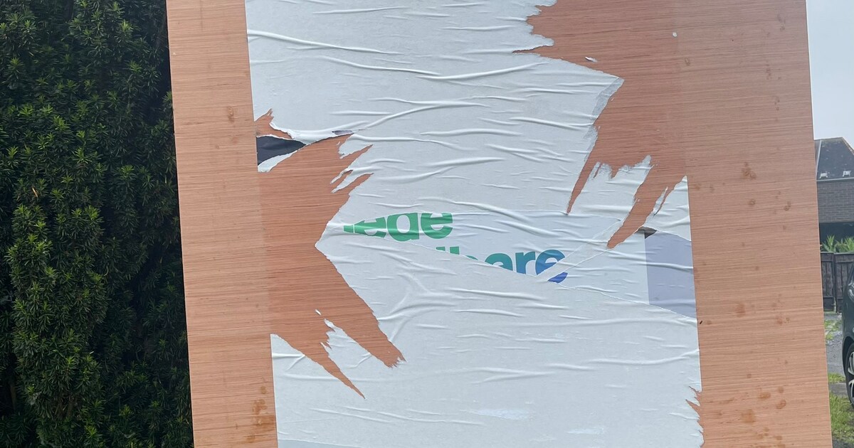 Affiche Jeremie Vaneeckhout (Groen) afgescheurd in eigen tuin: ‘Pure ...
