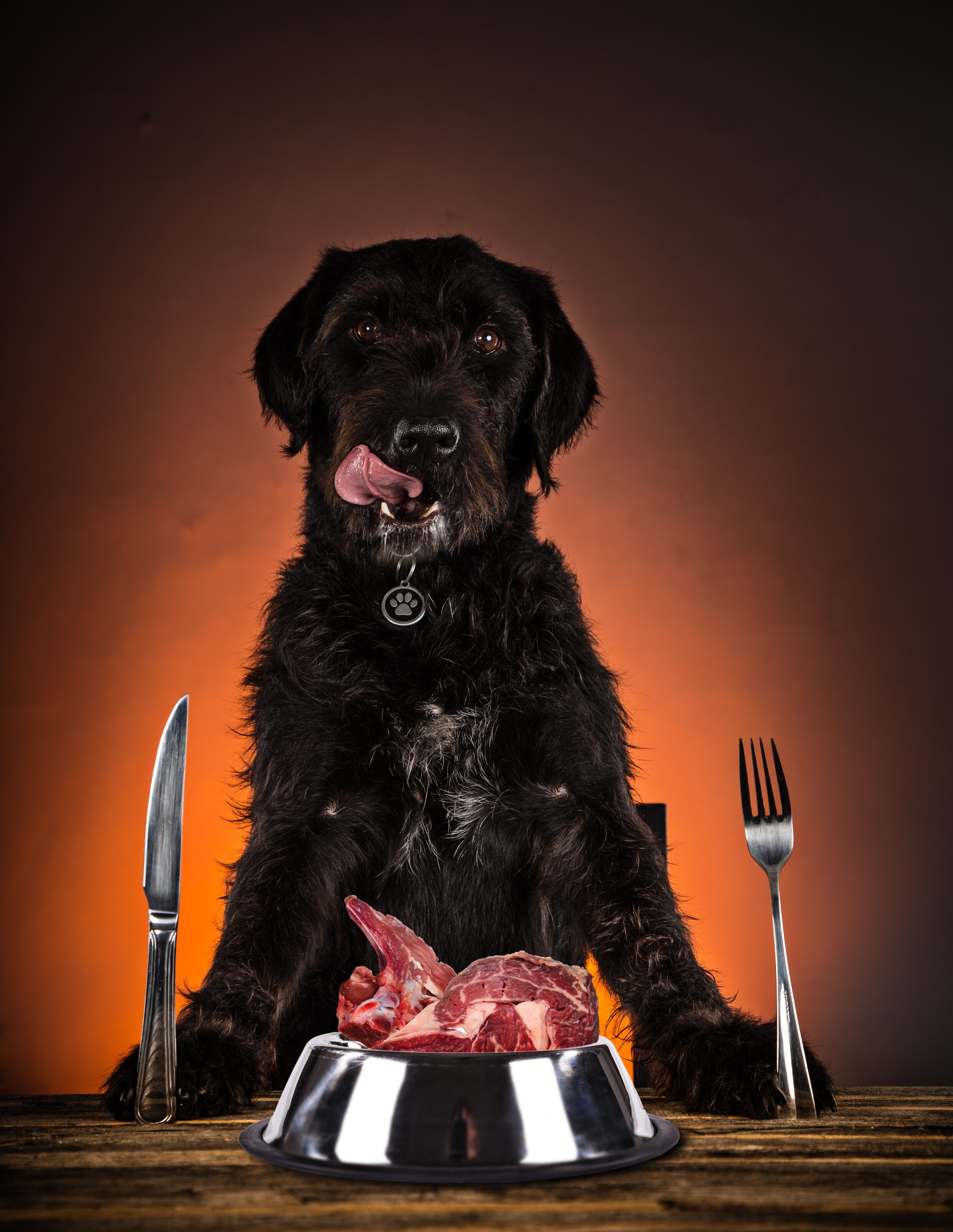 De kip of het kwartelei: waarom baasjes hun dieren steeds luxueuzere ...