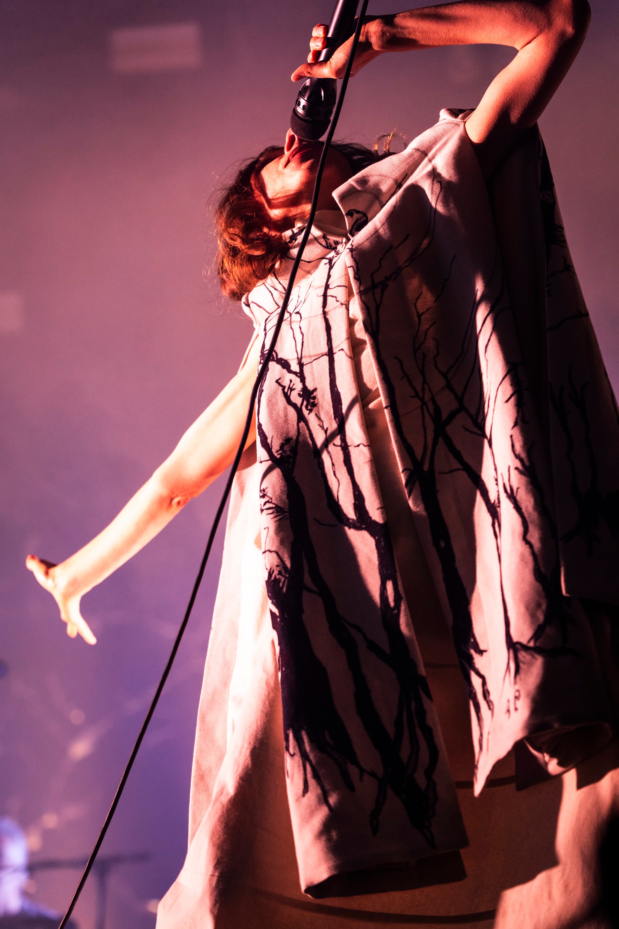 PJ Harvey toonde ons de sterren, Omar Apollo nam ons mee naar de ...