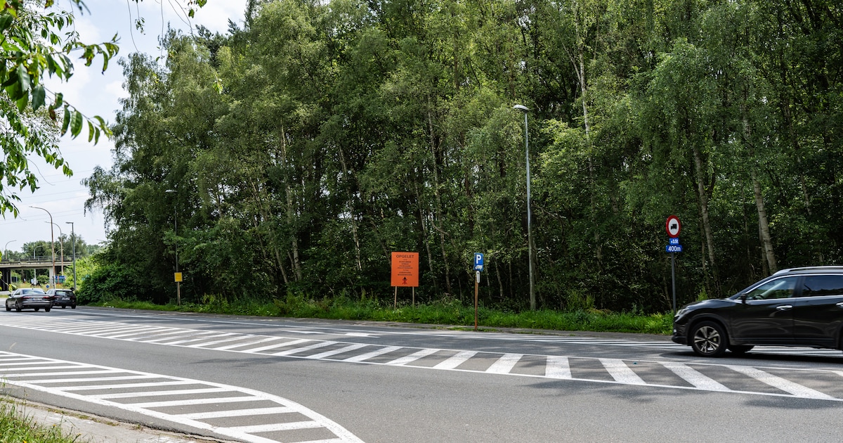 Man van 50 bekent moord op 71-jarige op carpoolparking in Oelegem | De ...