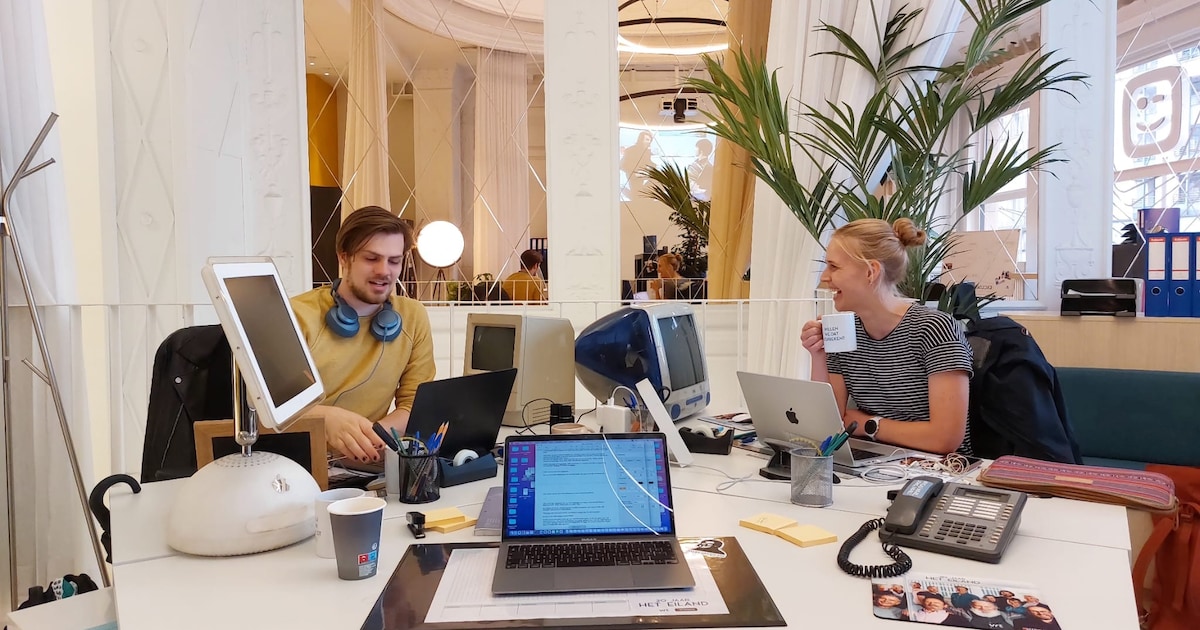 Coworking tussen Sammy Tanghe en Protput: ‘Op kantoor smijten we die ...