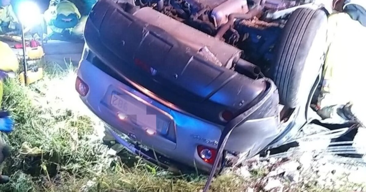 Bestuurder komt om het leven bij ongeval op A12 in Meise, twee ...