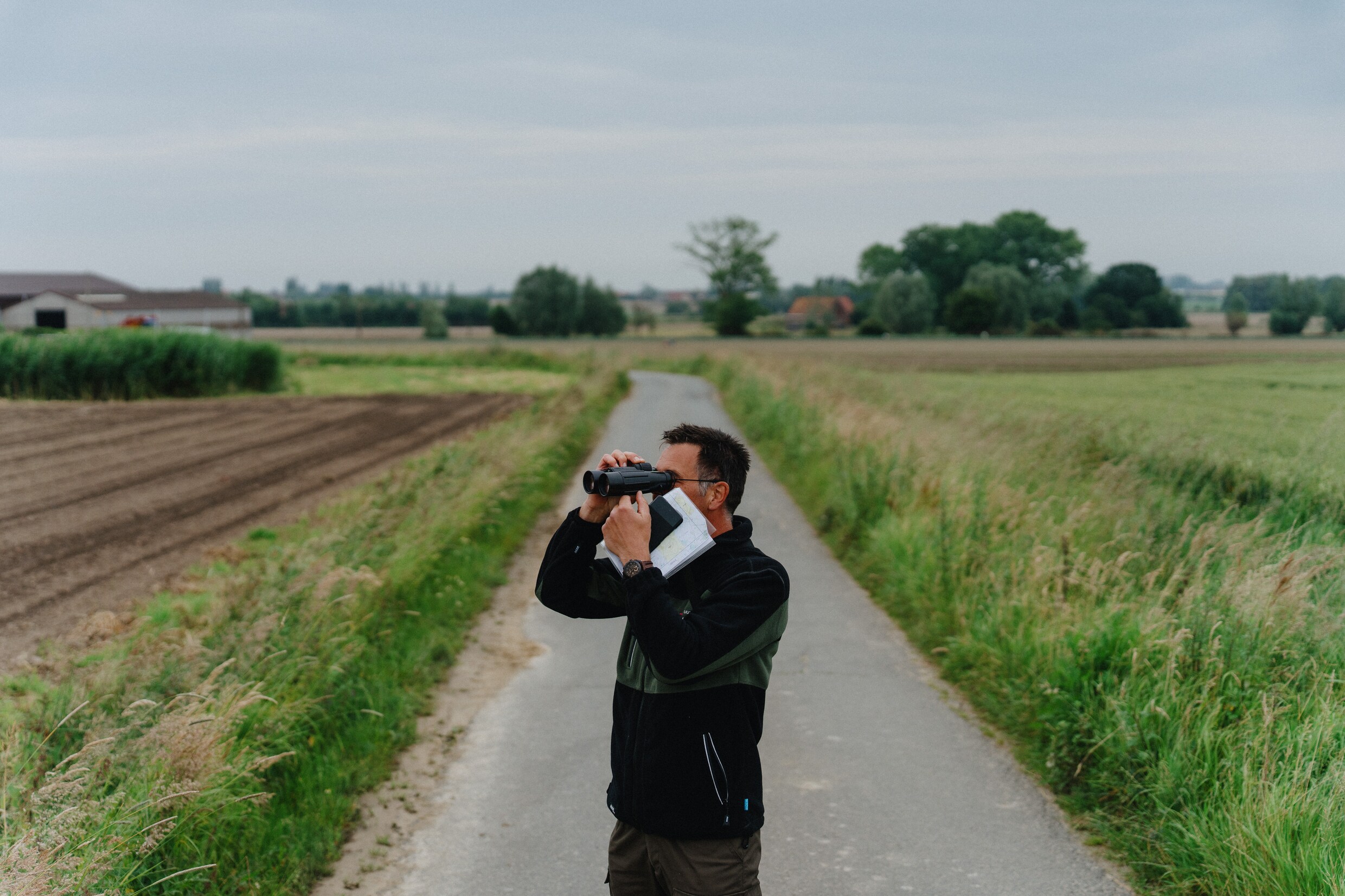 Waarom u helaas steeds minder vogels hoort zingen: ‘Het wordt op steeds ...