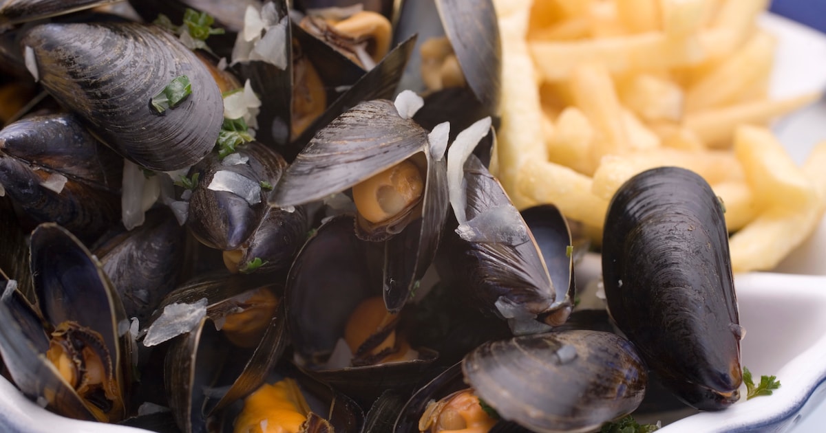 Waar moet u zijn voor een lekkere mossel-friet? De 21 beste adressen ...