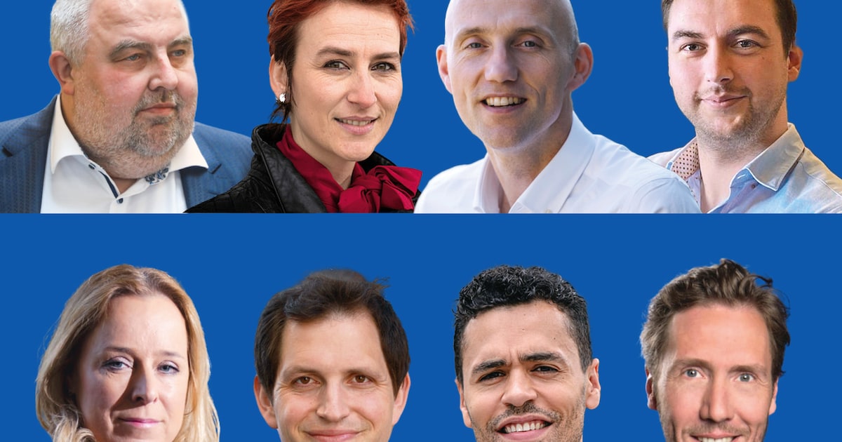 Eén stoel, acht kandidaten: wie wordt de nieuwe Open Vld-voorzitter, en wat voor leider heeft de ...