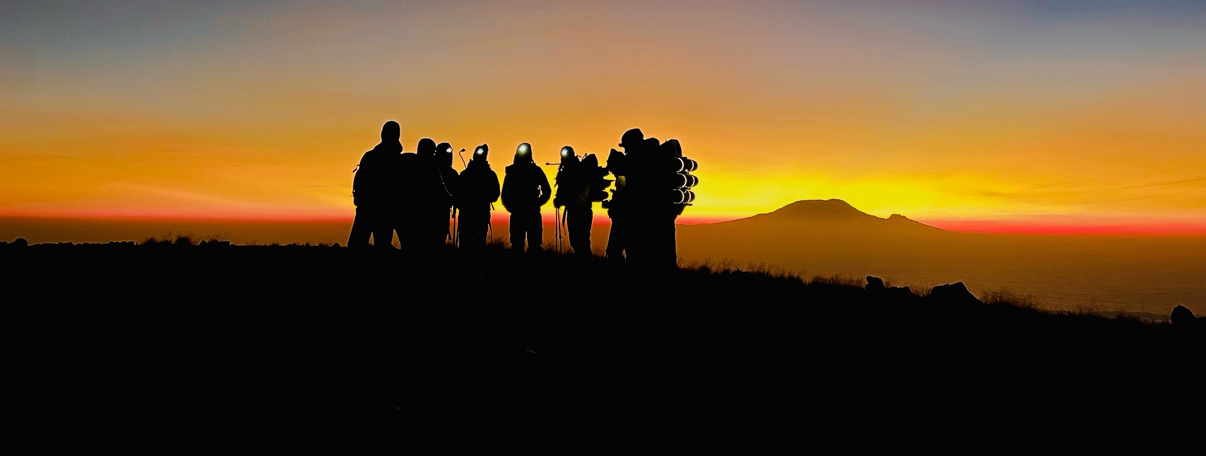 Dit wordt het najaar van VRT: veel vernieuwing en een wel heel ...