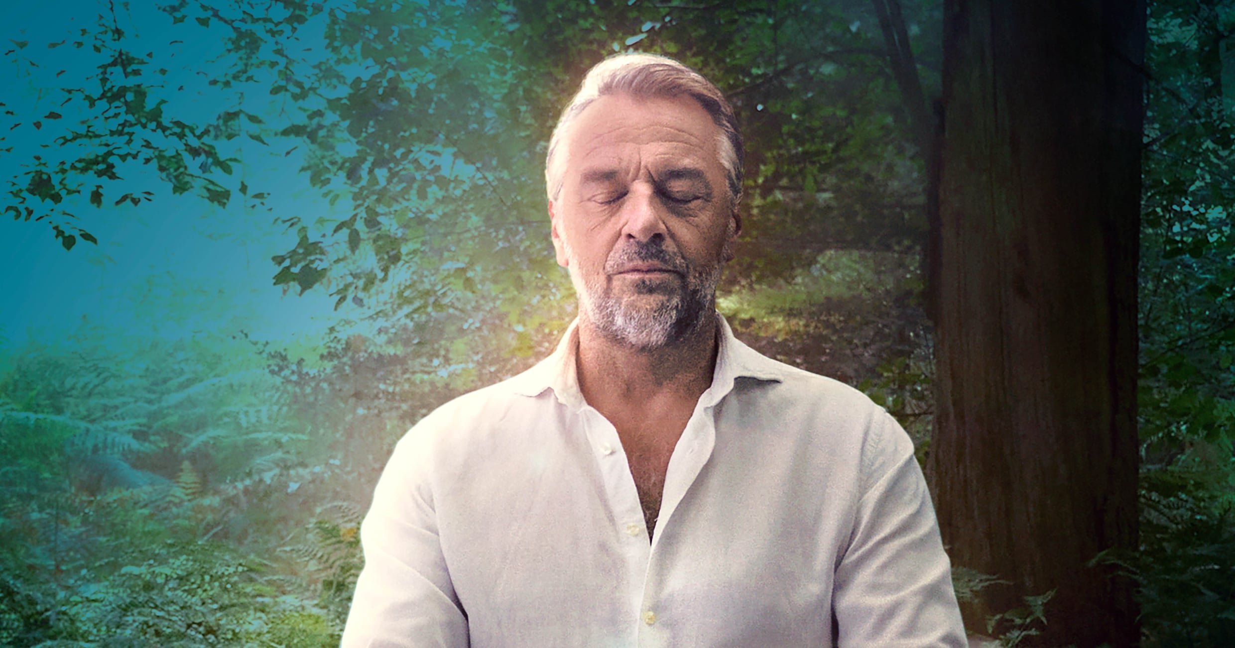 ‘Het stressprofiel van Tom Waes is inderdaad opmerkelijk’: experts over ...