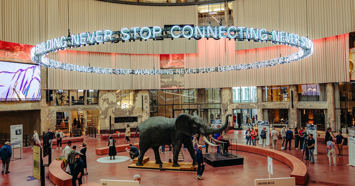 Met de opening van het Wintercircus krijgt Gent er een nieuwe wijk bij | De Morgen