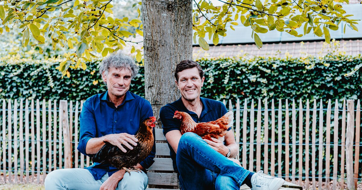 ‘Een paar nieuwe Rode Duivels denken dat ze kunnen teren op de successen van de vorige generatie ...