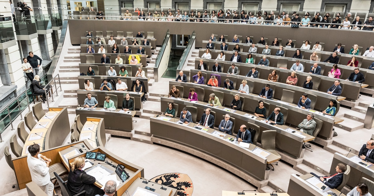 Onze democratie heeft niet zozeer minder parlementsleden nodig, wel ...