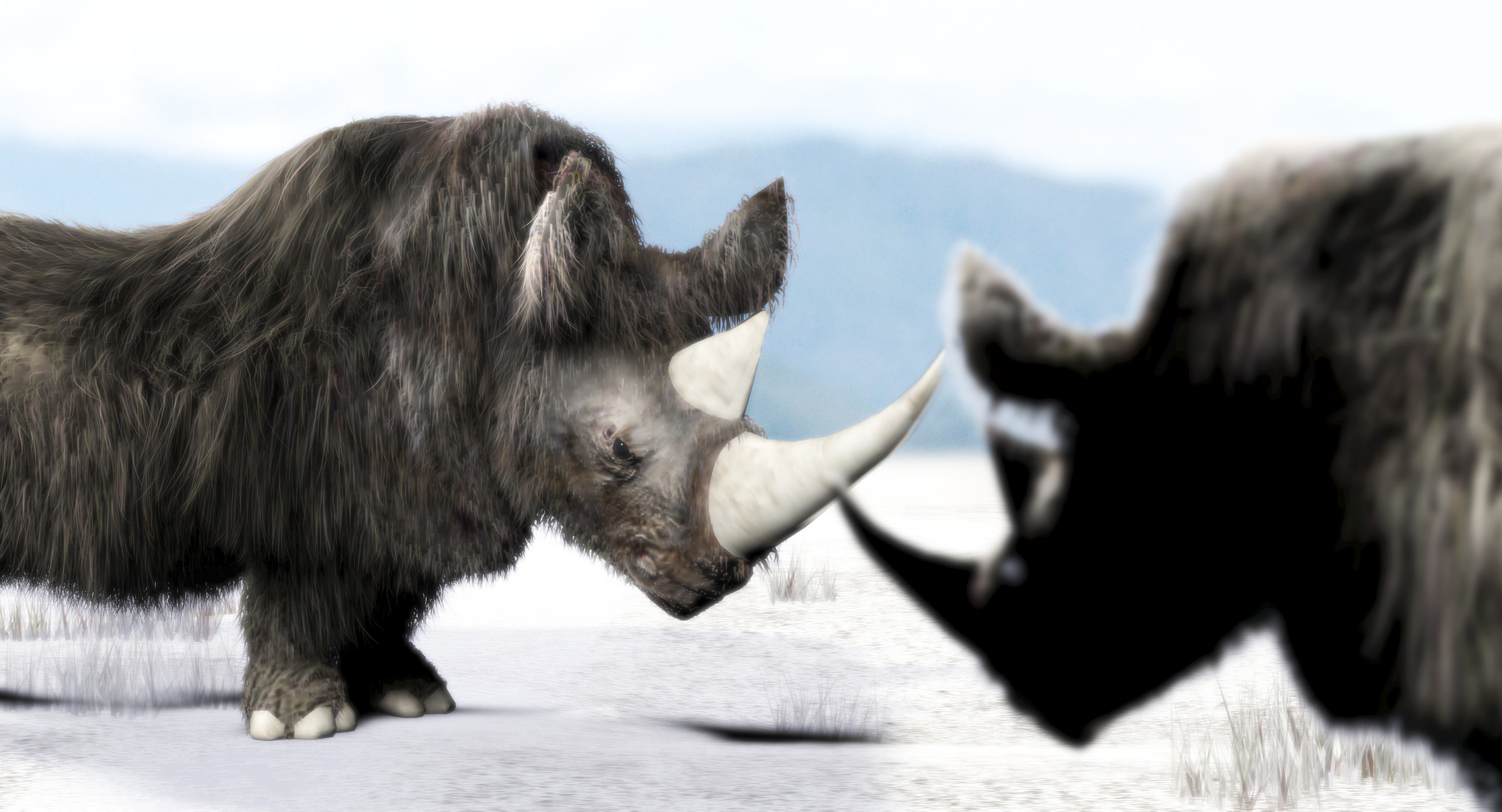 Meer dan 32.000 jaar oude wolharige neushoorn gevonden in de permafrost ...