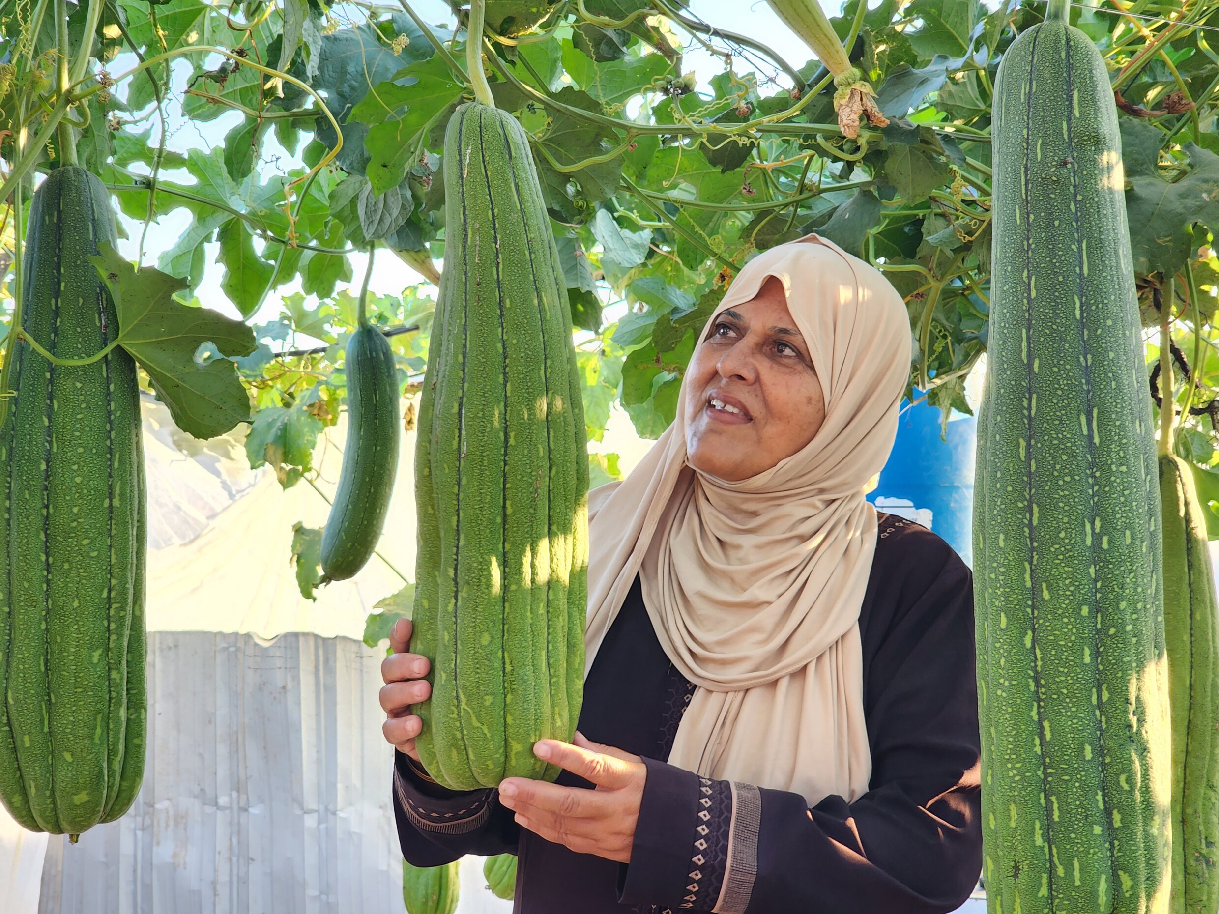 Zeven Gazanen vertellen wat hen in de oorlog op de been houdt: ‘Deze ...