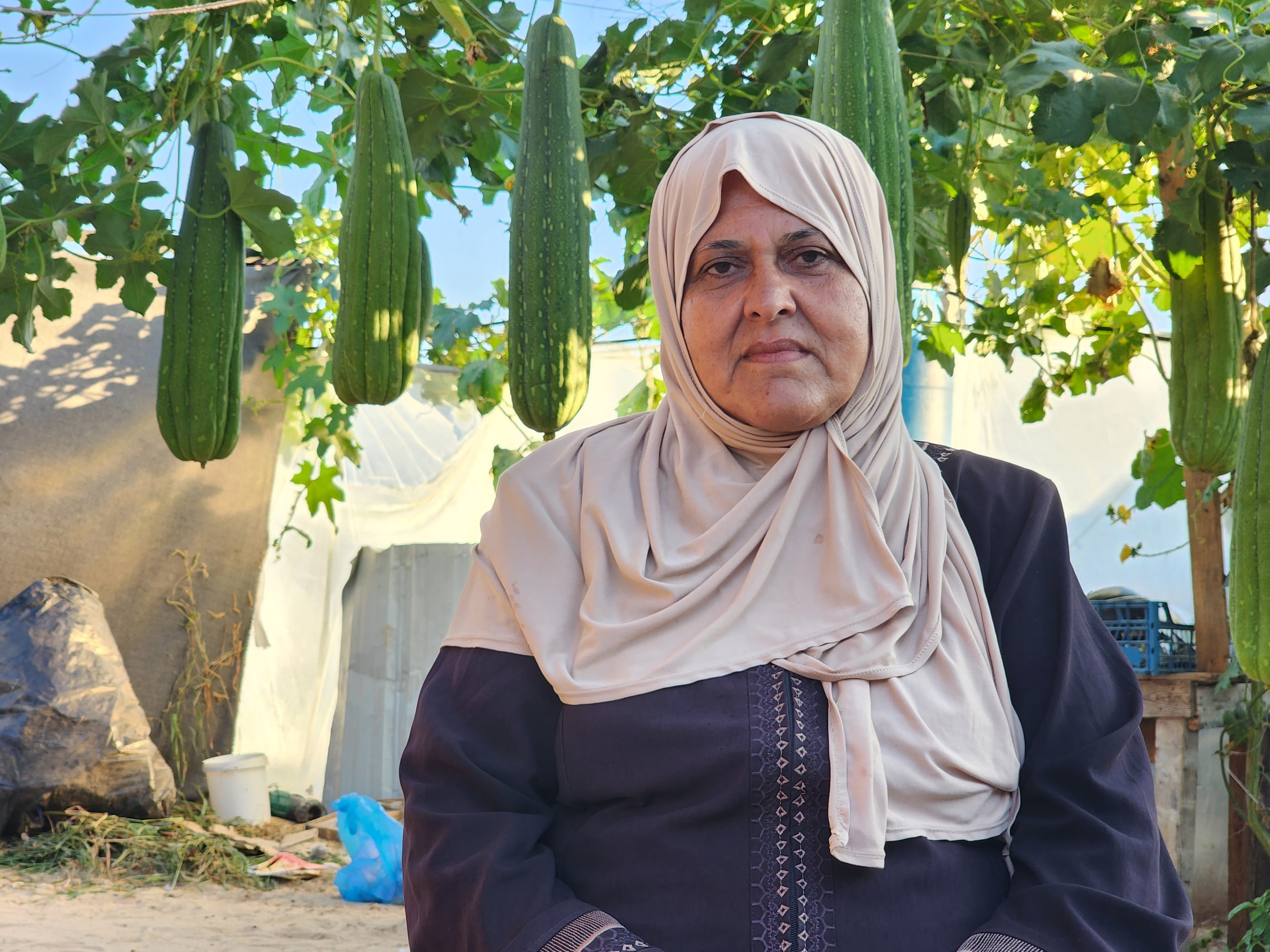 Zeven Gazanen vertellen wat hen in de oorlog op de been houdt: ‘Deze ...