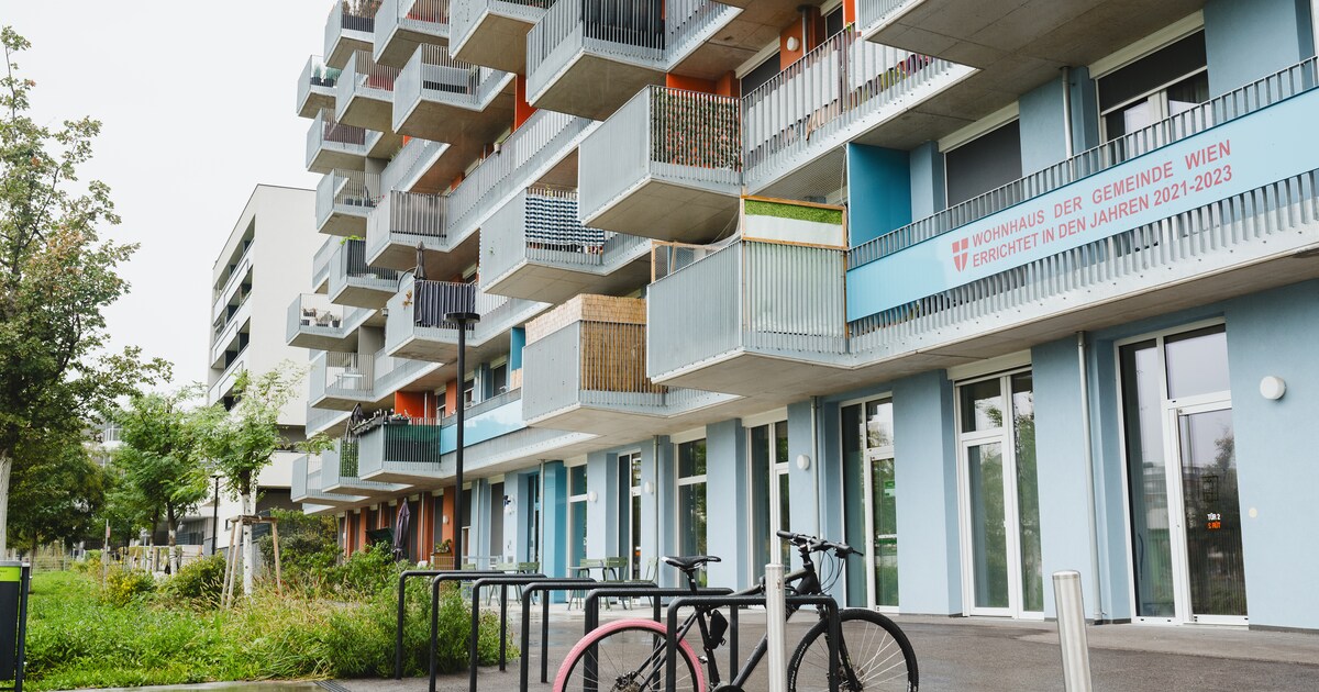 ‘Hier hoef je niet rijk te zijn om te kunnen wonen waar je wilt ...