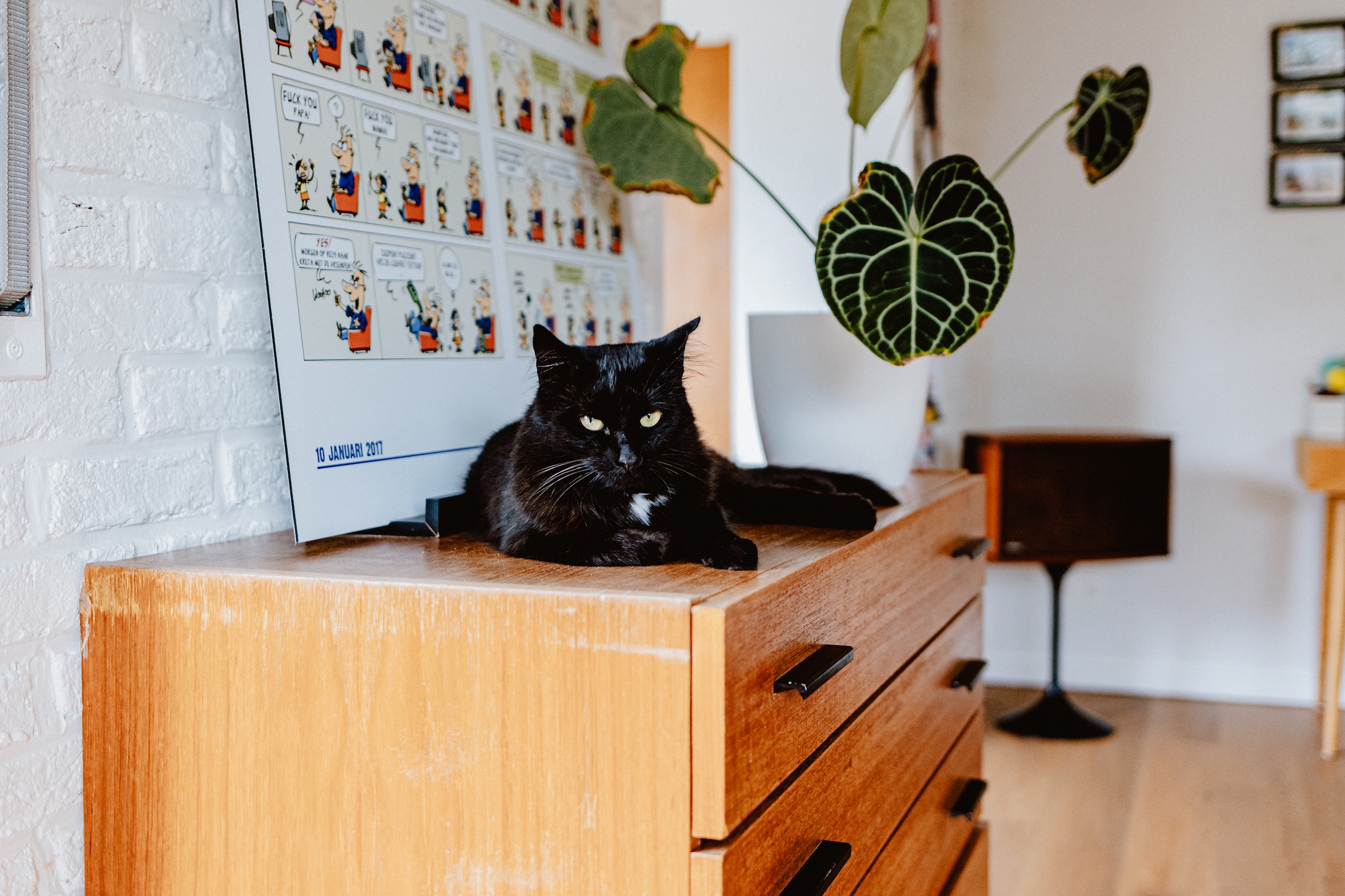 ‘Het is de goedkoopste tip met impact, maar toch botst hij op de meeste ...