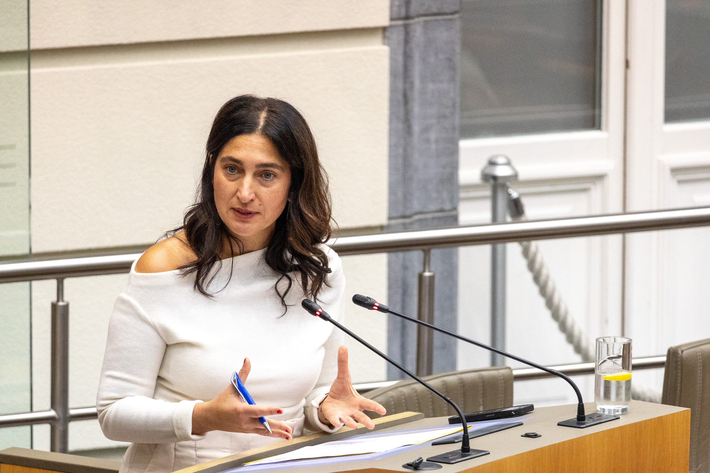‘De minister misbruikt die passage’: Zuhal Demir oogst meteen storm bij eerste beleidsnota | De ...