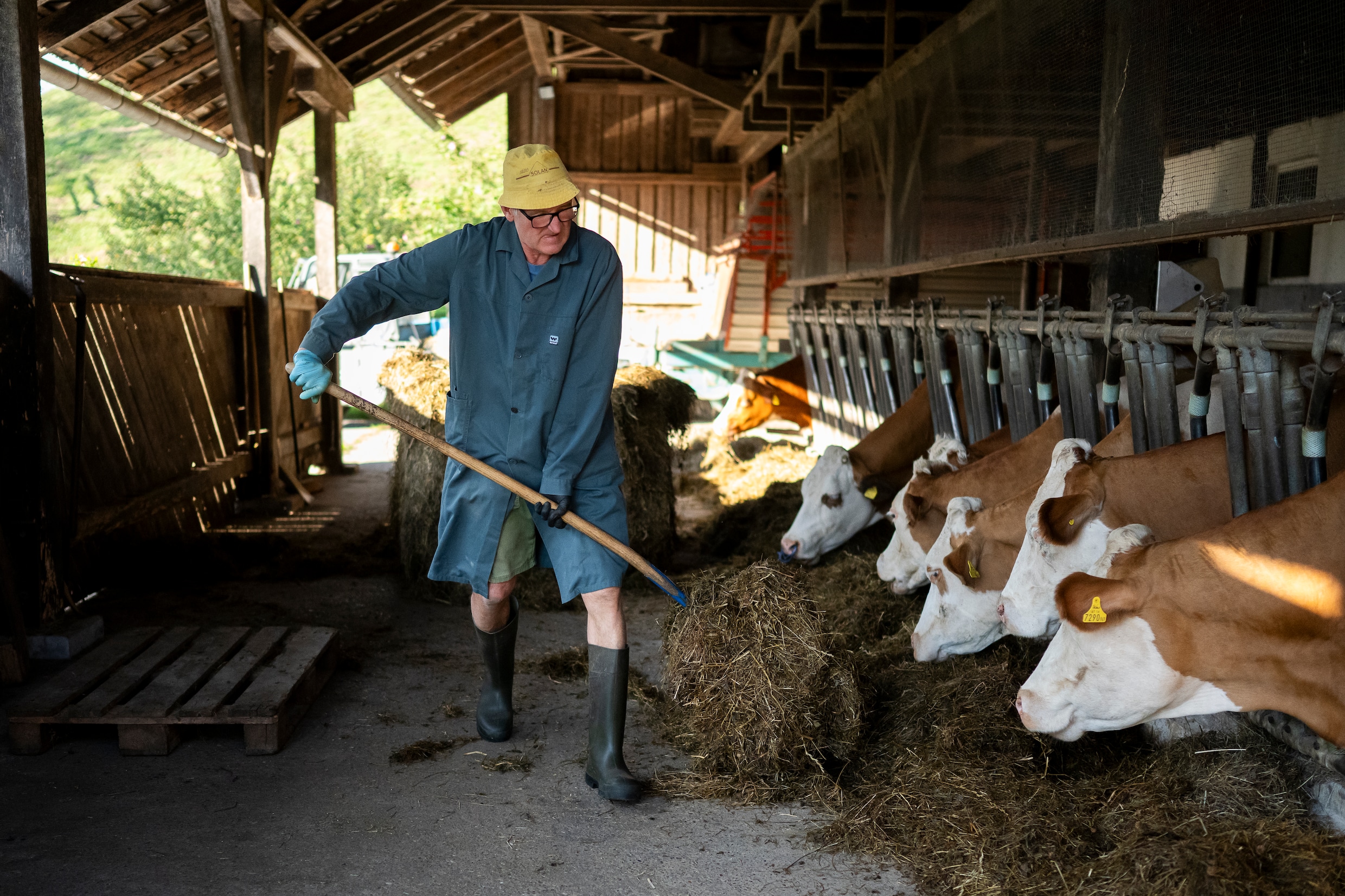 Biologisch boeren is in Oostenrijk juist een rechtse hobby: ‘Oostenrijkers willen weten waar hun ...