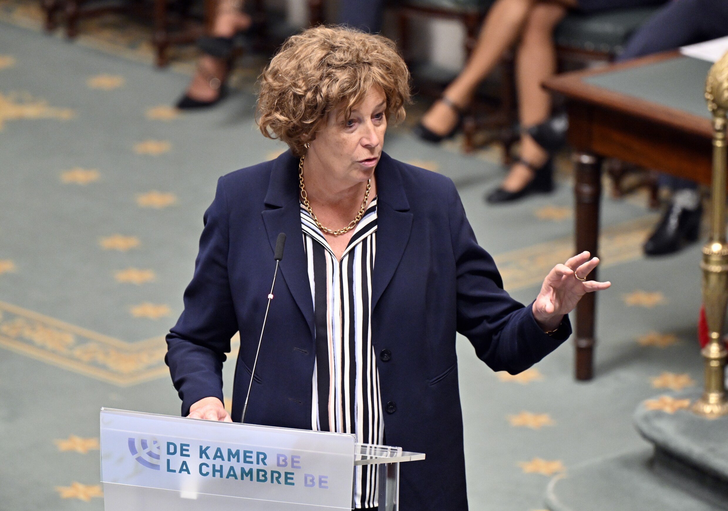 Wie wil voorzitter worden van Groen? ‘Akkoord, we hebben iemand nodig ...