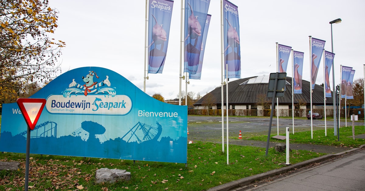 Incident met attractie in Boudewijn Seapark in Brugge: zeven mensen ...