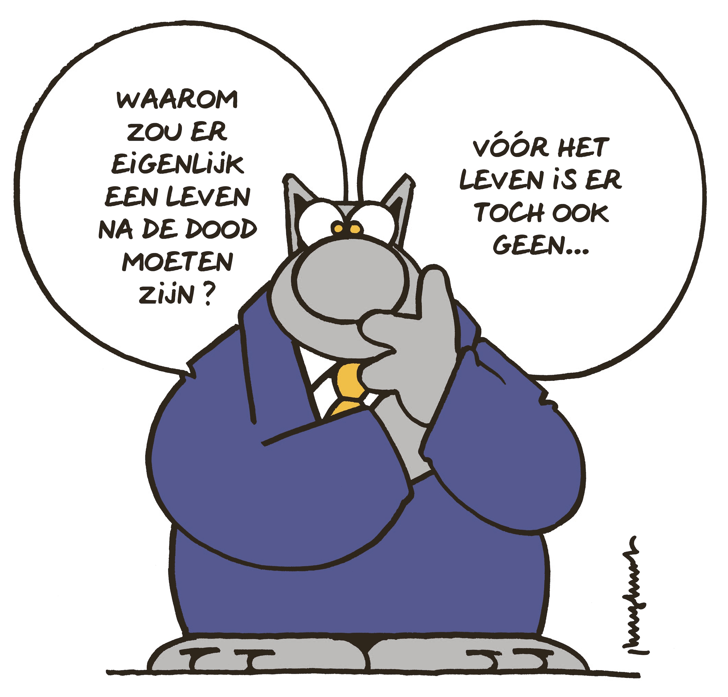 De Kat Van Geluck | De Morgen