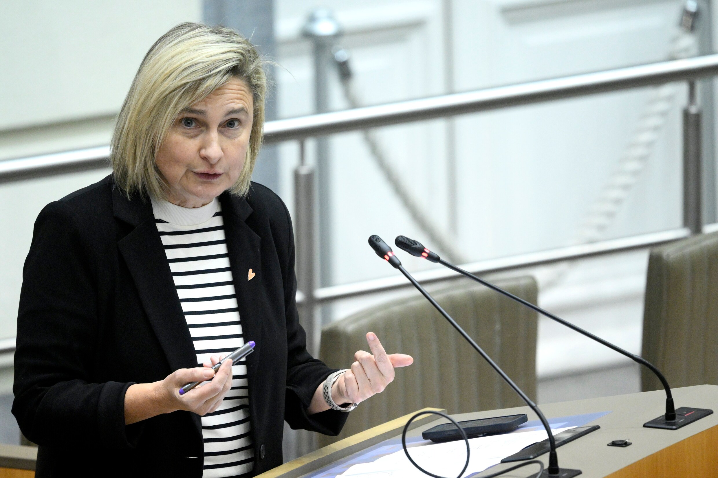 Na onthulling over vreemdelingenbeleid Pieter De Crem: minister Crevits ...