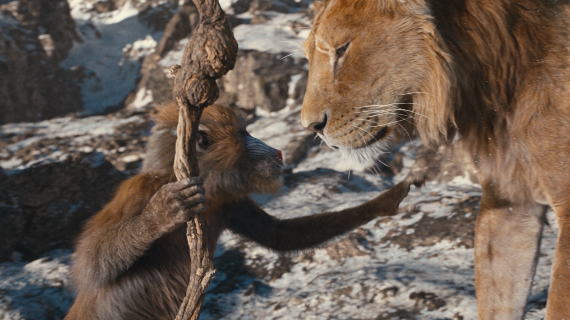 Oscar-winnaar Barry Jenkins over werken aan ‘The Lion King’-prequel ...