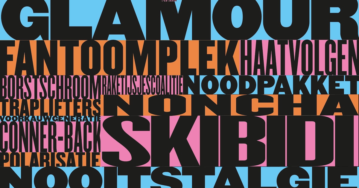 ‘Noncha’ is het tienerwoord van het jaar: stijlpolitie, diep ademhalen aub | De Morgen