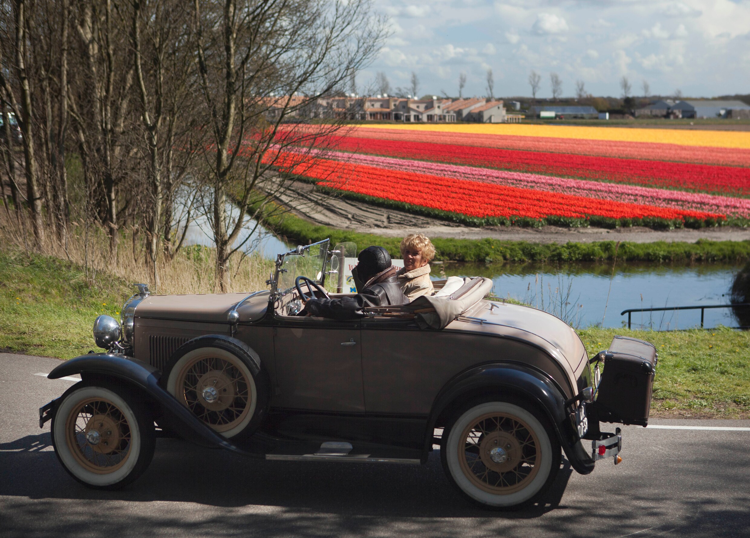 Dutch Flower Auction, Long Industry's Heart, Is Facing Competition | De ...
