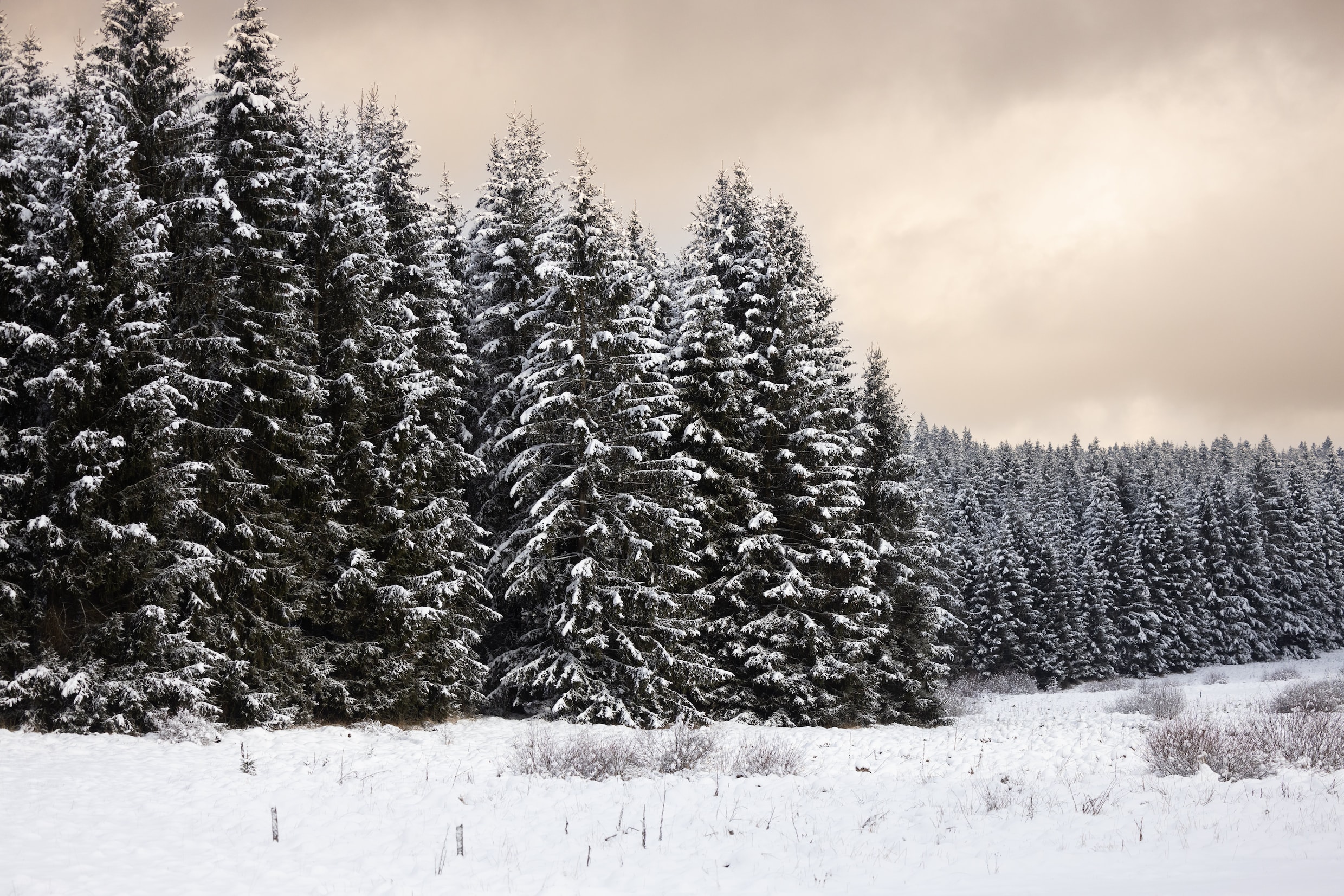 Wetenschappers brengen mogelijke impact bij stilvallen golfstroom in ...