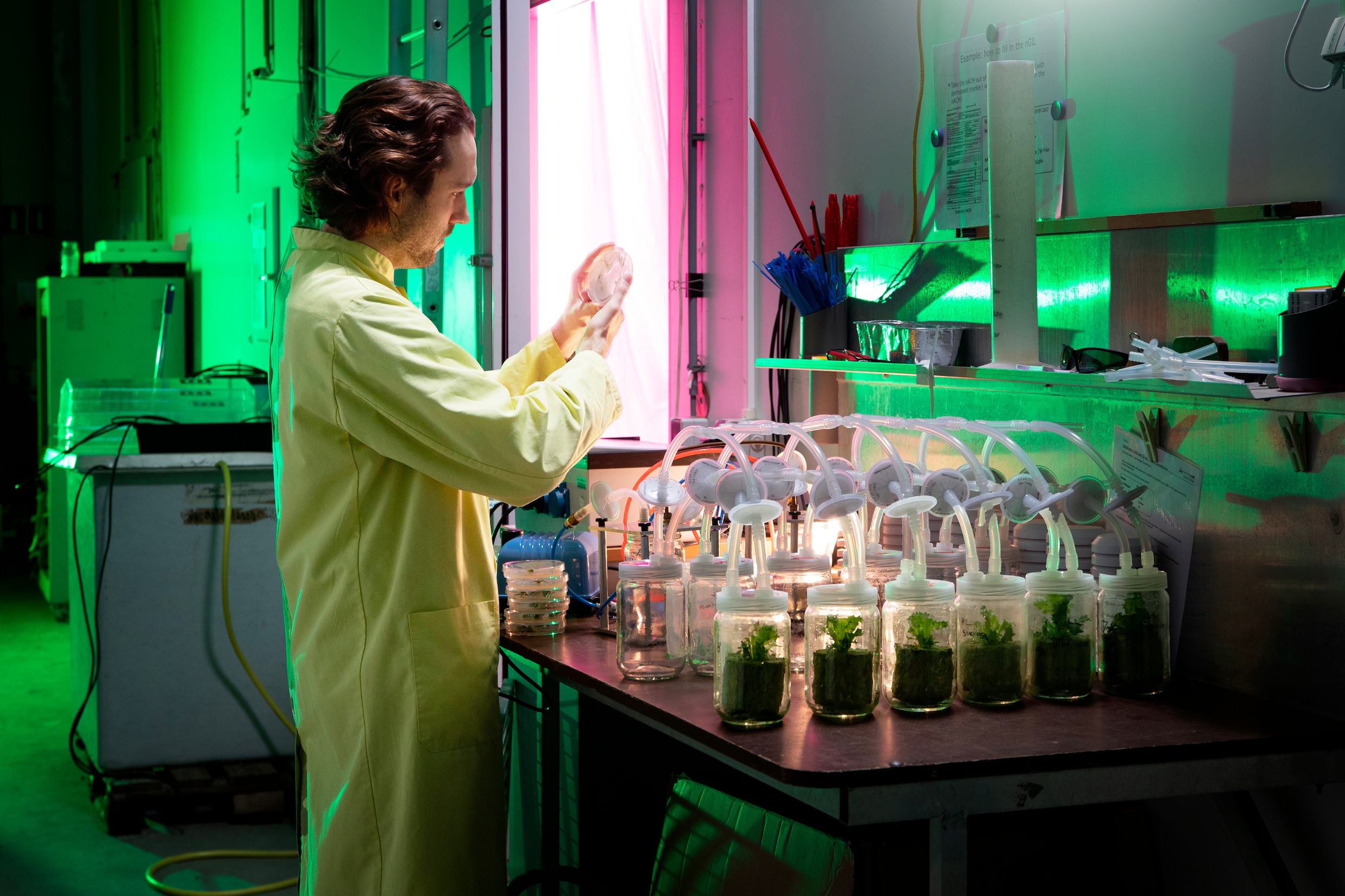 Zonder boom en plant kun je nog steeds fruit kweken, bewijzen deze onderzoekers | De Morgen