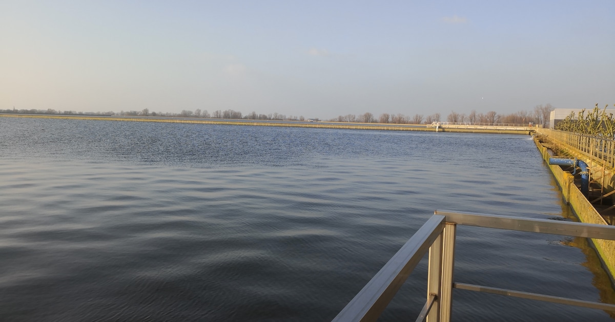 Vlaanderen trekt toegelaten norm op van schadelijke triazolen in West ...