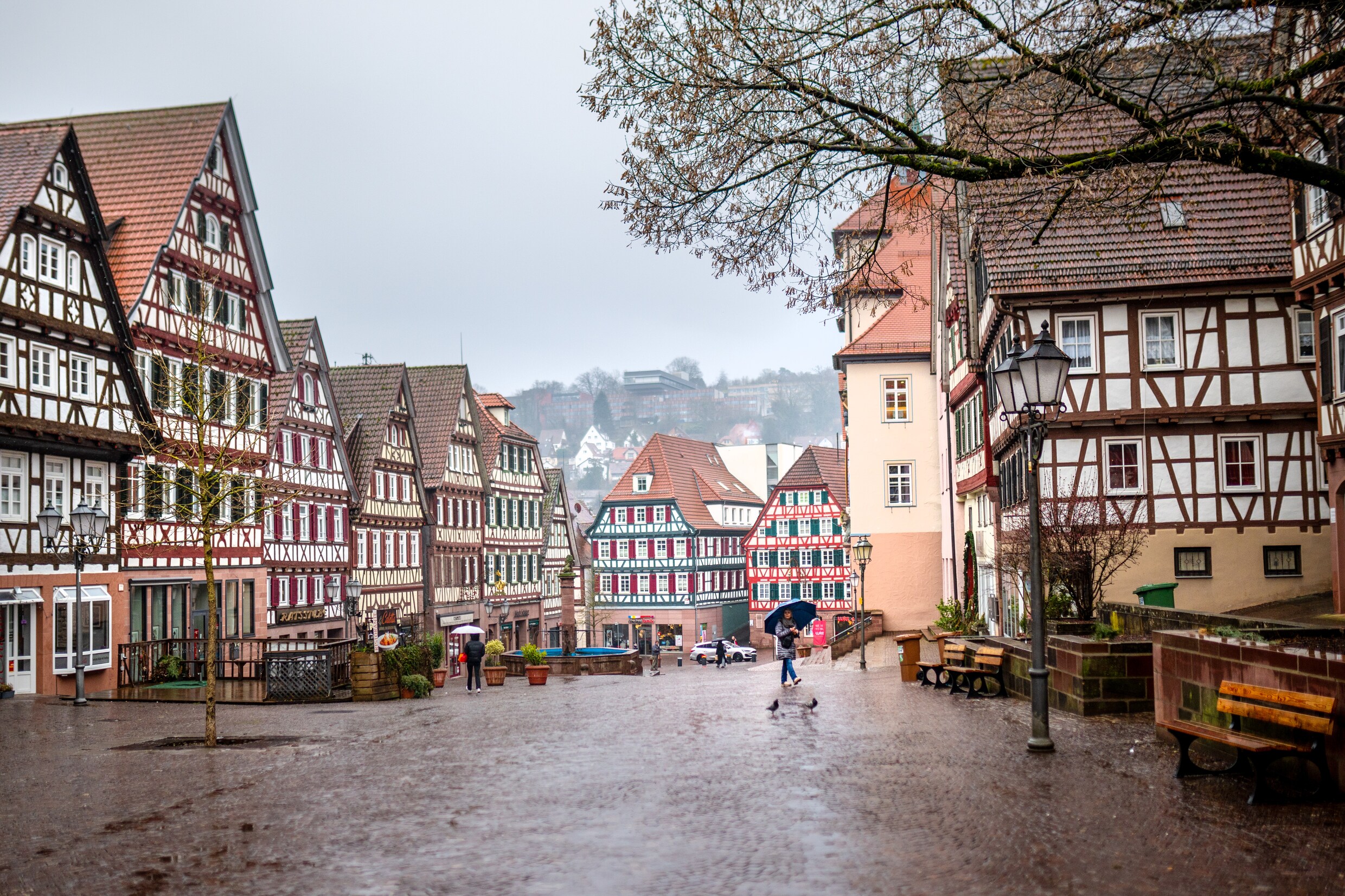 Ook Syrische burgemeester van een Duits dorp aan Zwarte Woud pleit voor ...