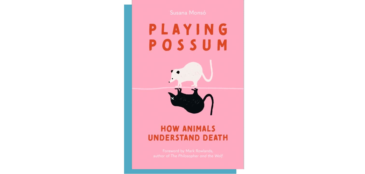 Filosofe Susana Monsó weet het zeker: dieren snappen de dood | De Morgen
