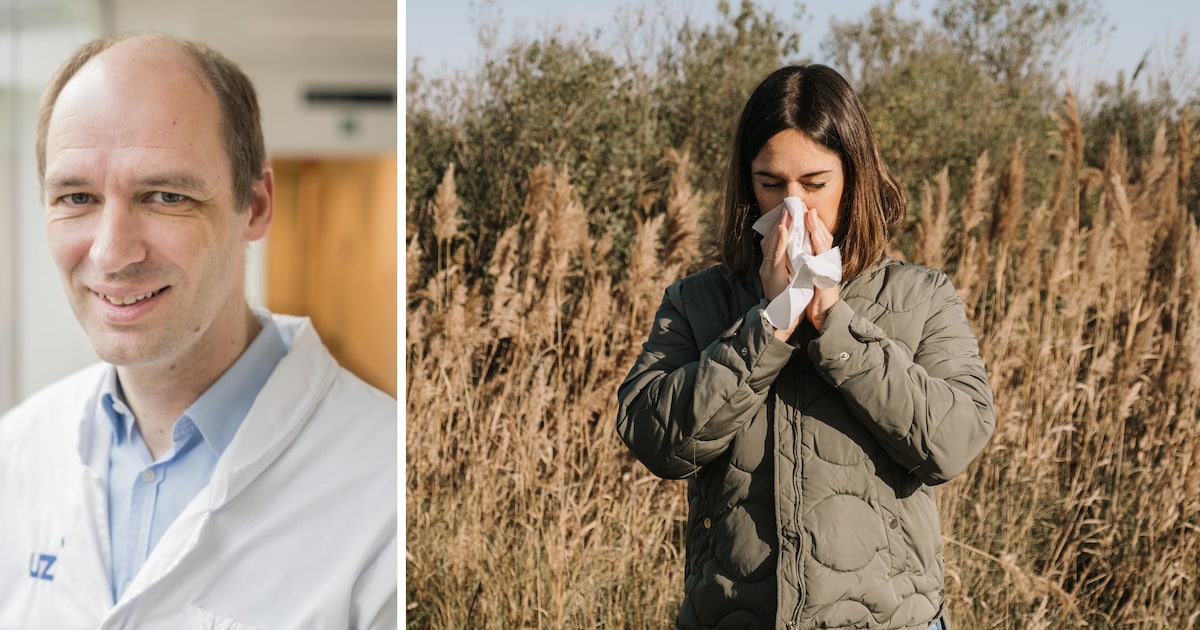 Welkom terug, hooikoorts: ‘De enige behandeling die werkt wordt slecht ...