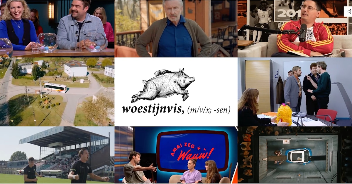 Woestijnvis ontslaat twaalf medewerkers: ‘Nodig om een gezond bedrijf ...