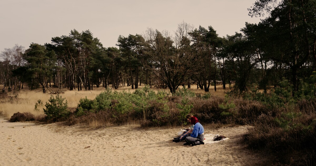 Code geel voor droogte, maar onder de grond is het nat: wat is er aan de hand? | De Morgen