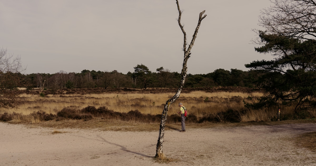 Het is amper april en de droogte baart al zorgen: ‘Het bad loopt ...