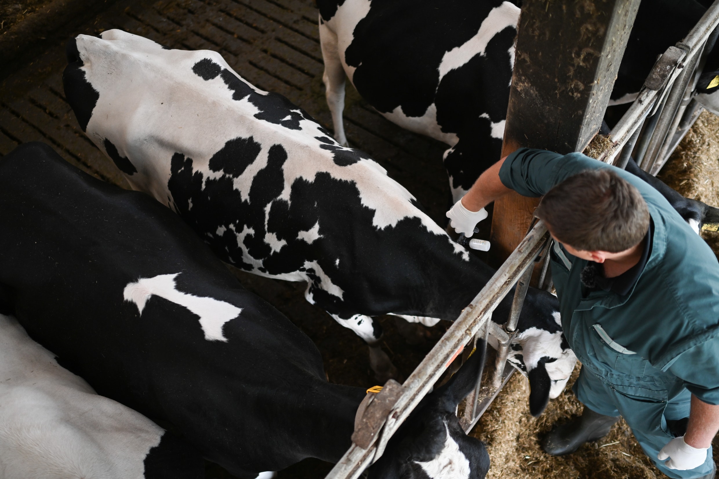 Dierverpleegkundigen zijn de passe-partout voor een duurzame toekomst ...