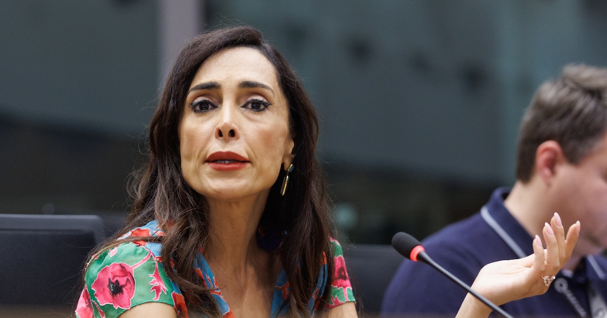 N-VA-parlementslid Darya Safai: ‘Islamitisch regime in Iran wil mij ...