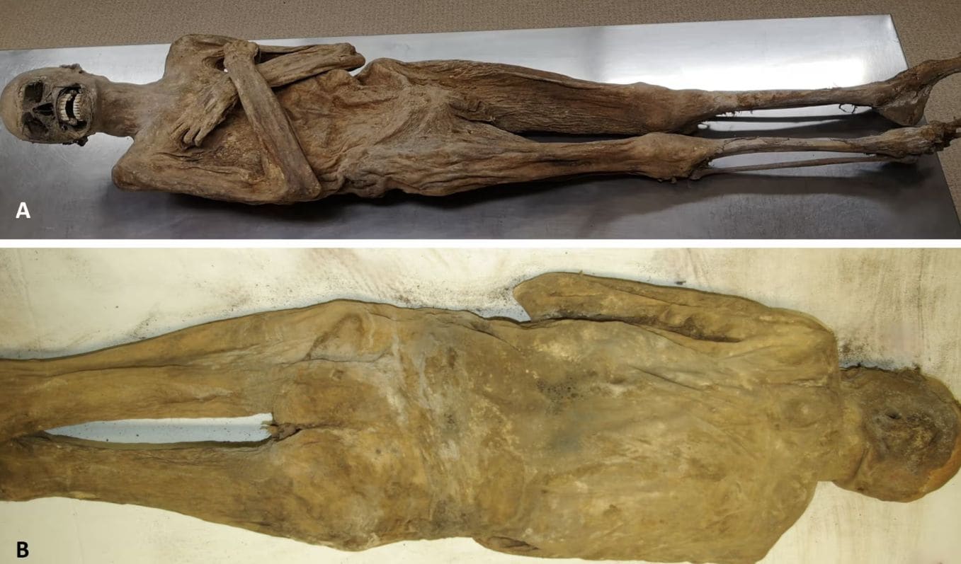 Mysterie rond ‘luchtgedroogde kapelaan’ na bijna 300 jaar opgelost ...