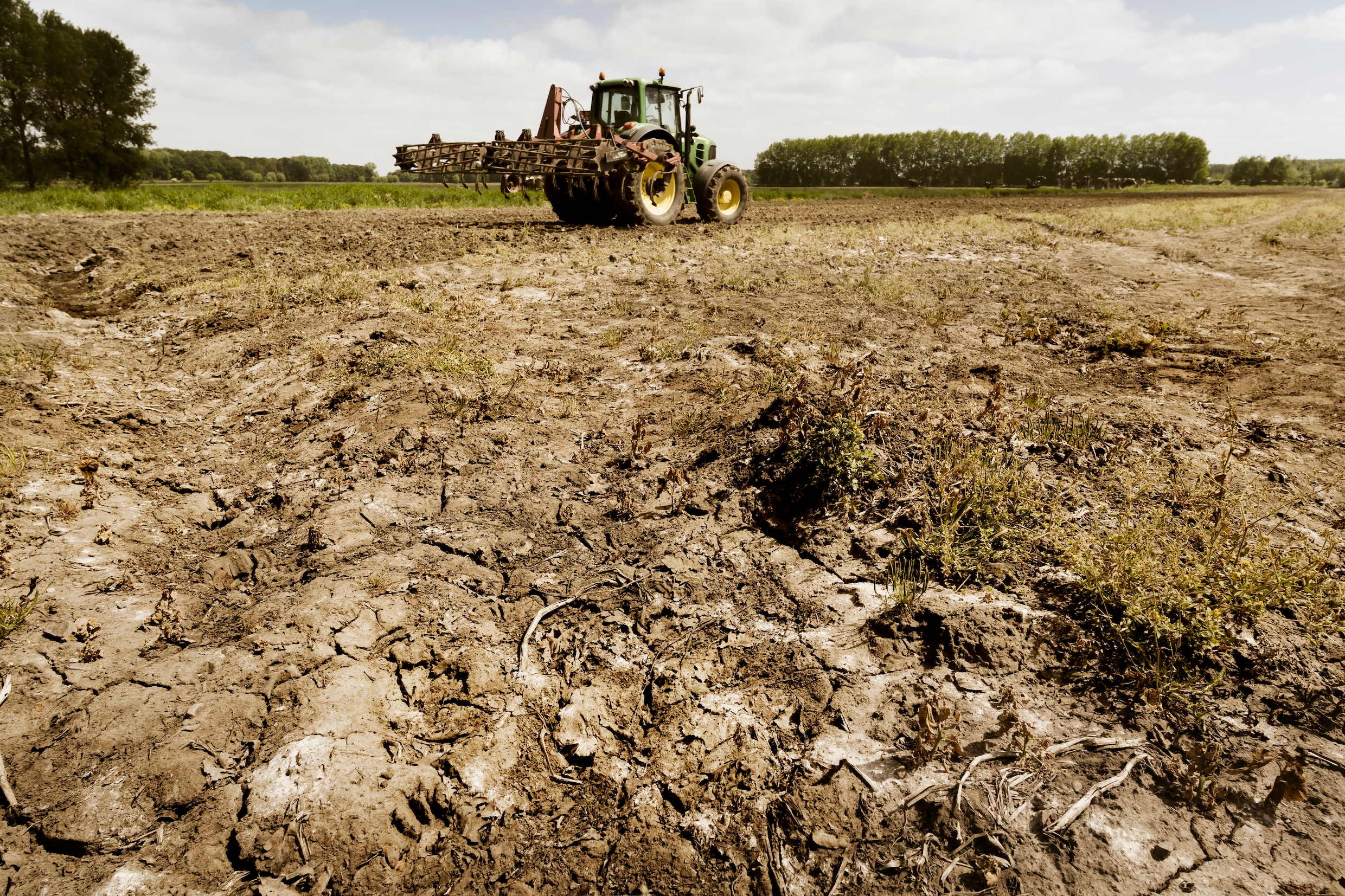 Grondwater­stan­den blijven alarmerend laag ondanks recente regenval ...