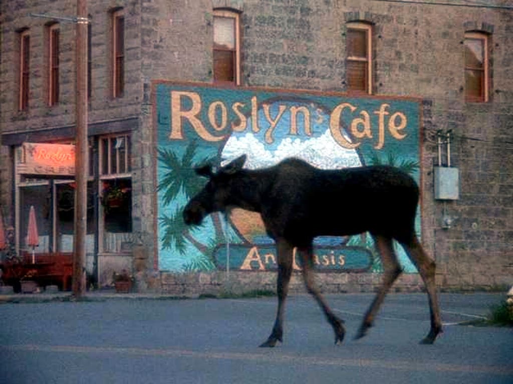 Cultklassieker ‘Northern Exposure’ houdt het midden tussen ‘Ted Lasso ...