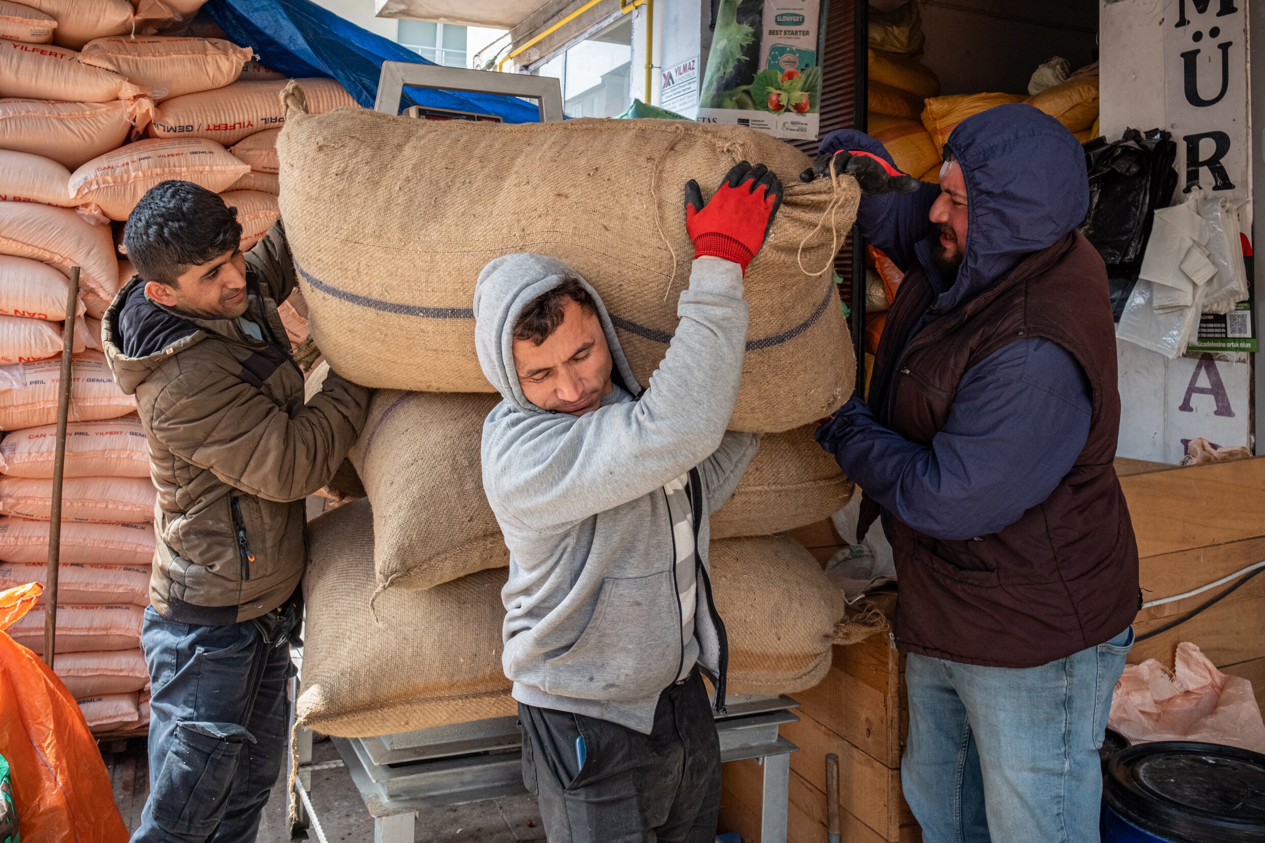 Klimaatverandering bedreigt Turkse hazelnoot: ook onze Nutella komt in ...
