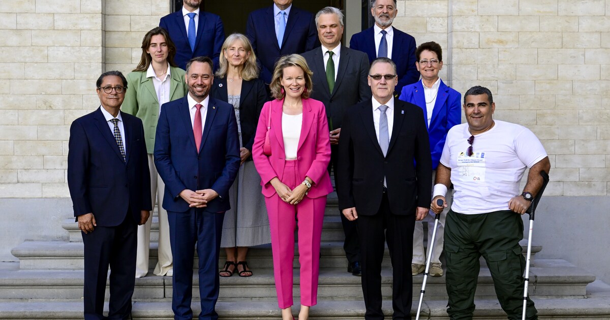 Paratleet Michael Haddad wandelt naar koninklijk paleis: ‘Mensen met ...