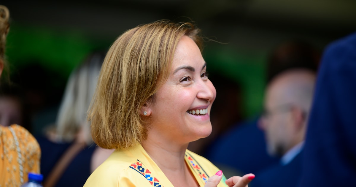 Ook Antwerpse onderwijsschepen Ait Daoud (N-VA) wilde samenwerken met ...