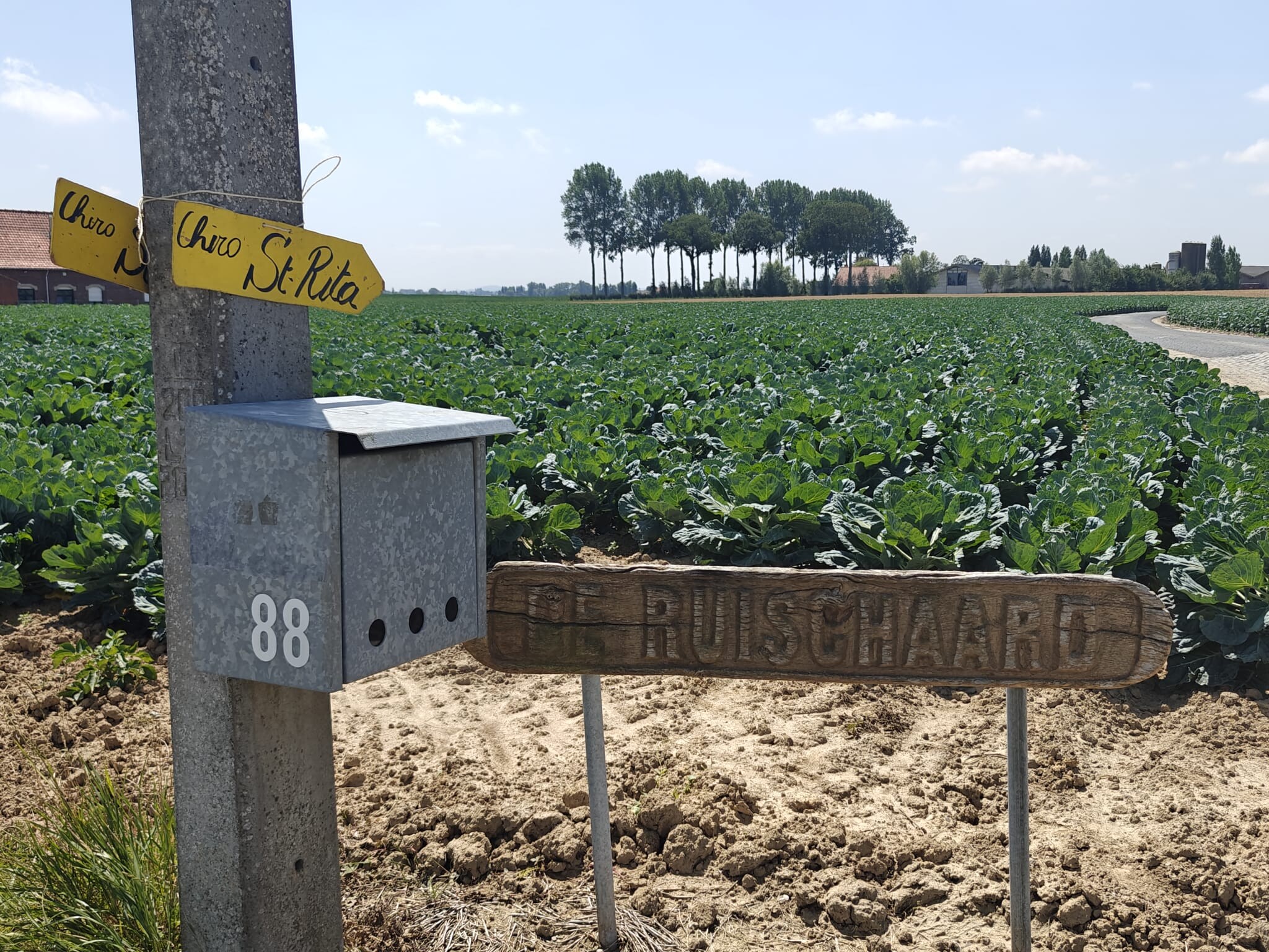 13-jarig meisje overlijdt op Chirokamp in West-Vlaanderen na hartfalen ...